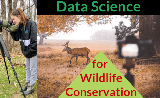 Key Skills for Data Scientists in Environmental Fields | by Grace Emeruwa | Medium