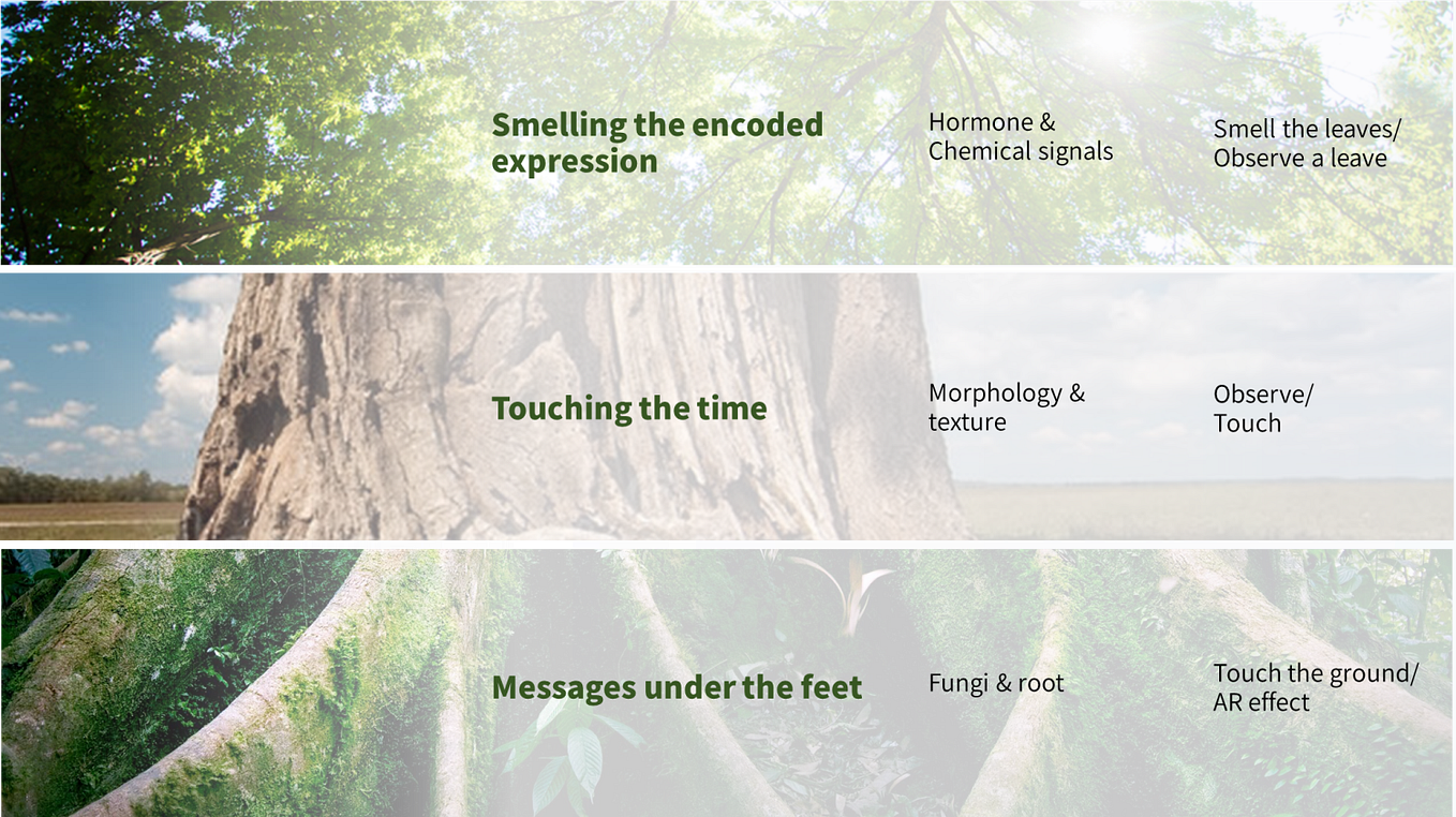Signals from plants (1)/ Final Major Project | by Fangxue Chen | Medium