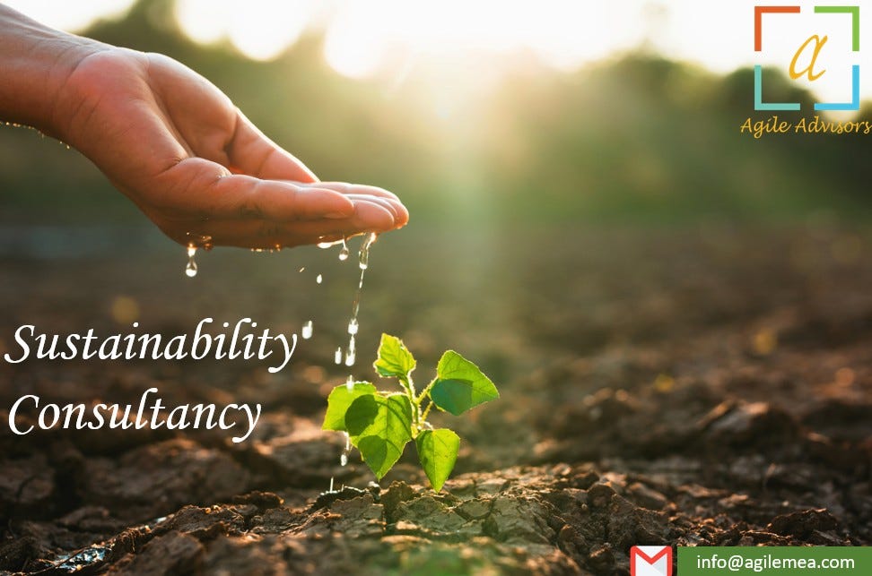 Carbon footprint consultancy. A Path to Responsible Corporate… | by ...