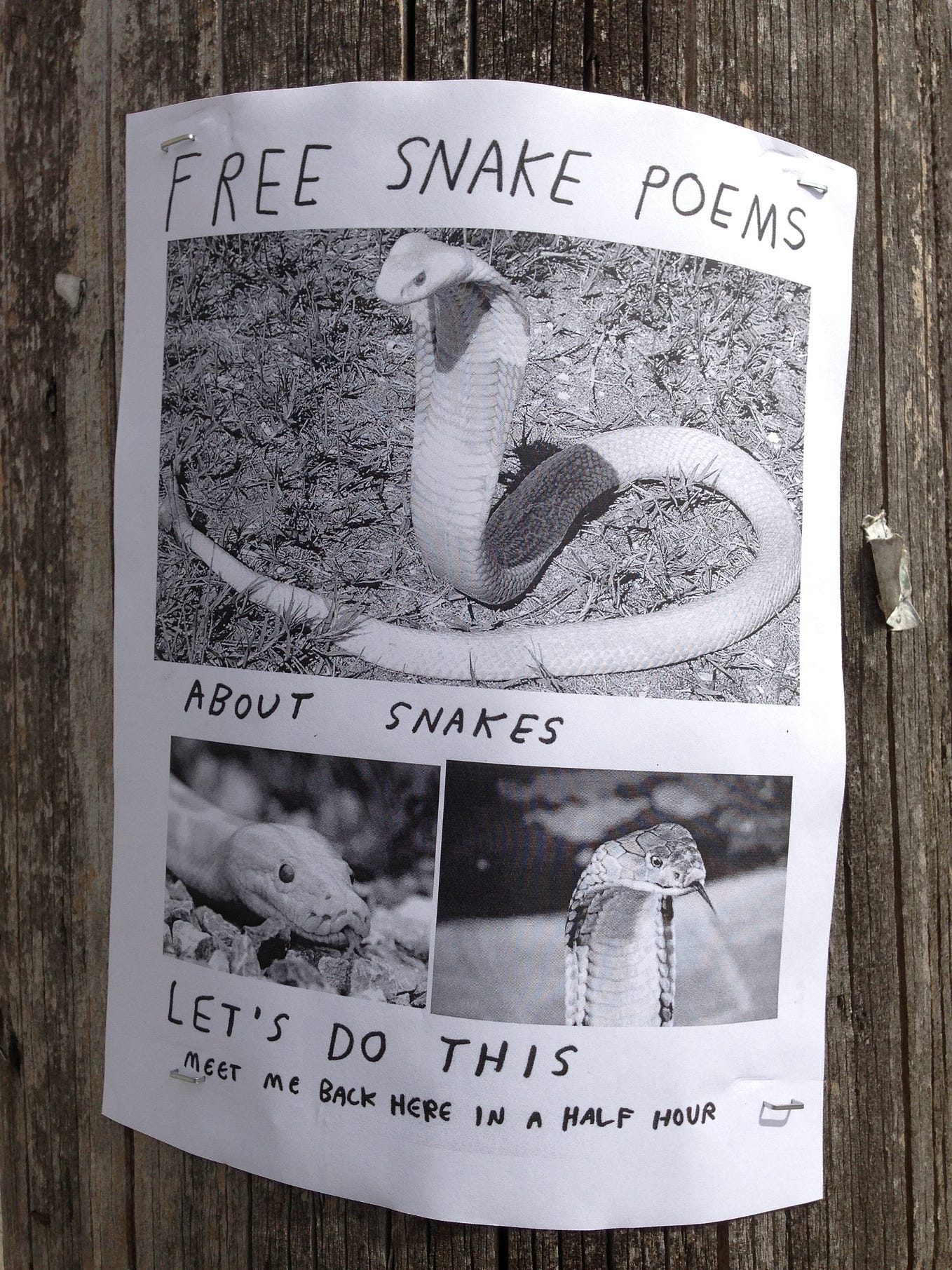 Stringlyjack: The Story Behind the Song | by The Argument | TheArgument ...