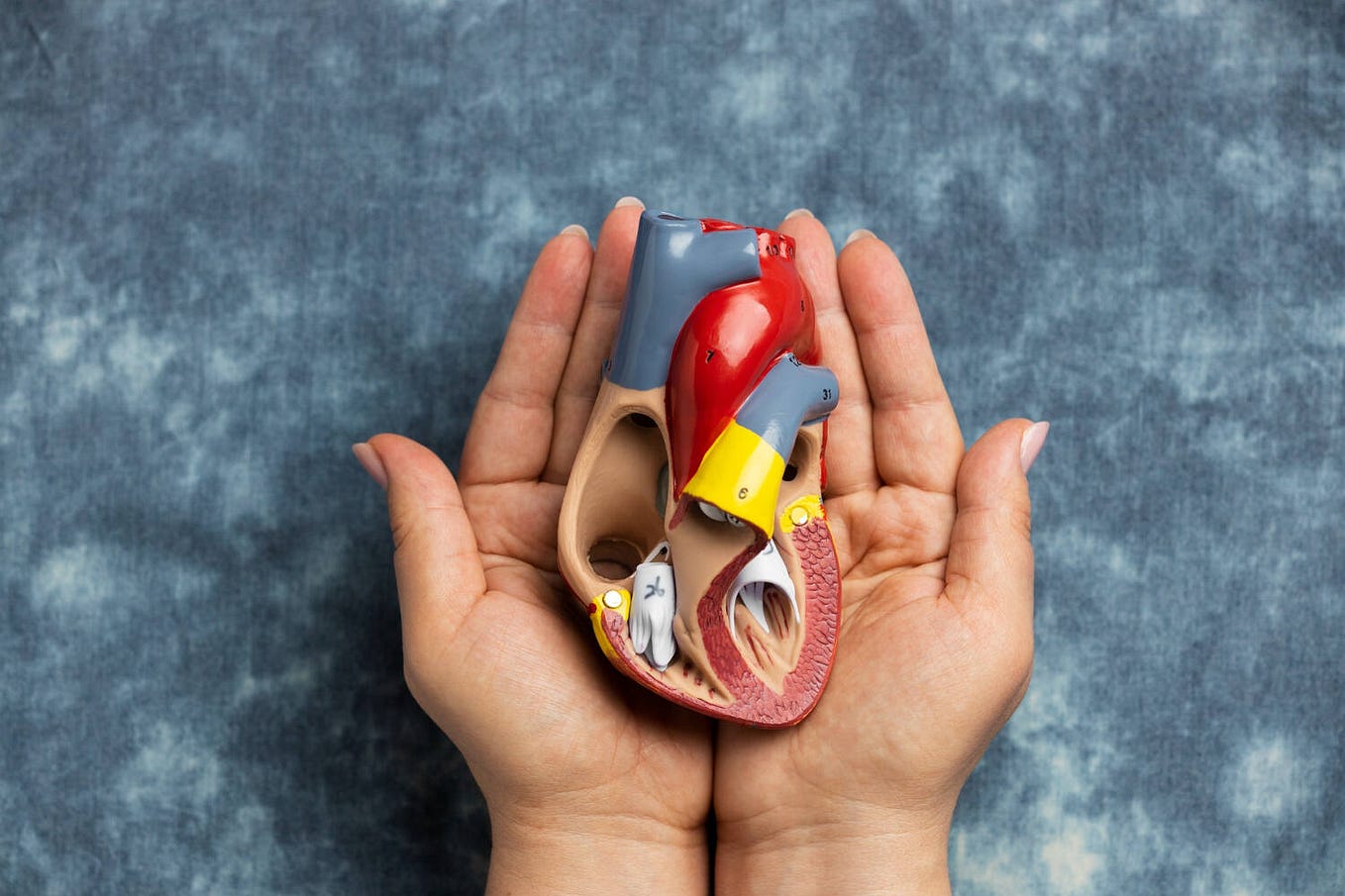 A Guide To Choosing The Best Cardiologist In Sierra Leone | by ...