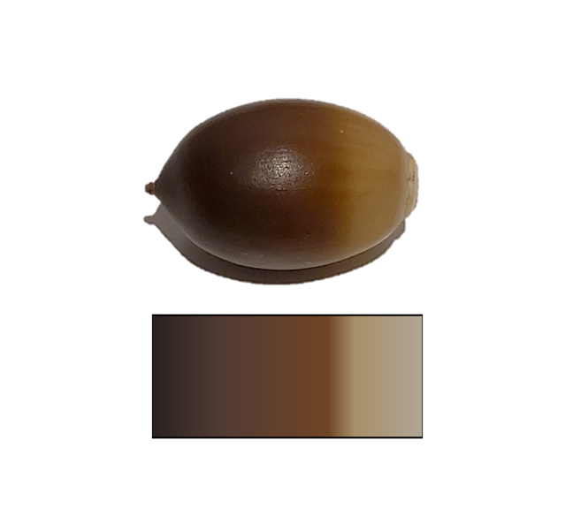 Color in Matplotlib. Color (ˈkələr): “Phenomenon of light or… | by ...