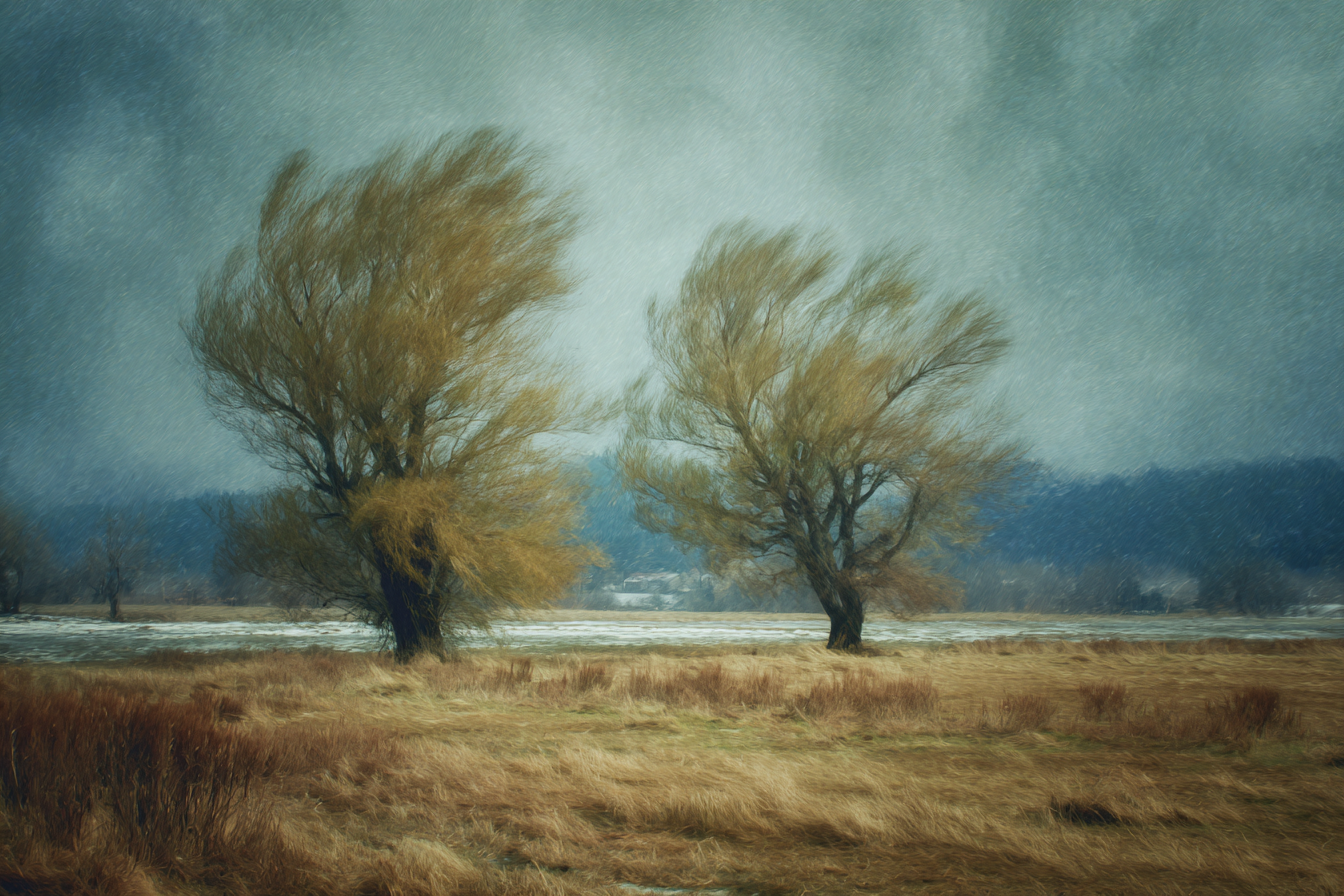 🌳 One Prompt, Ten Visual Universes: The Cathedral Tree Across Worlds | by Libée Lune | Jul, 2025 ...