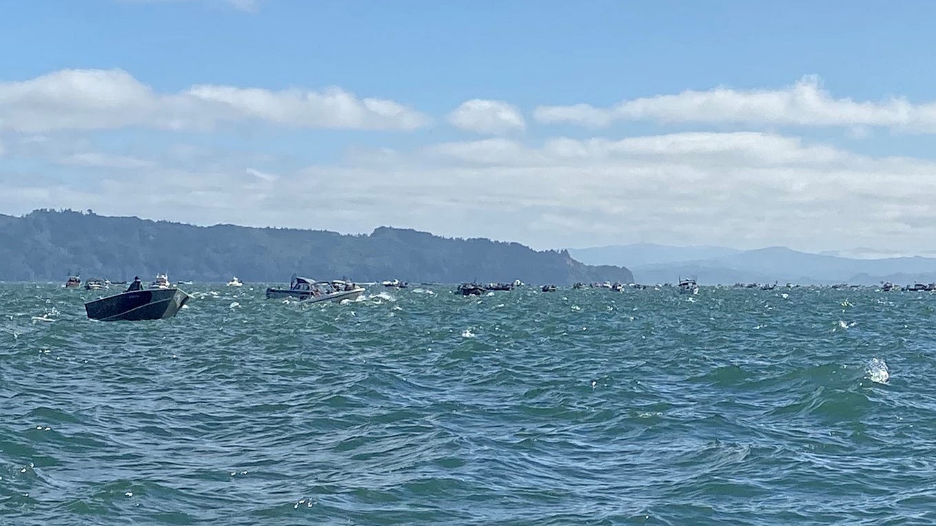 Washington Summer Salmon Fishing Preview: Where and when to go, and ...