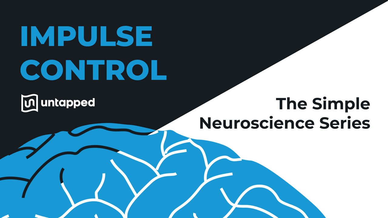 The Simple Neuroscience of Working Memory | by Natalie Wilcox ...