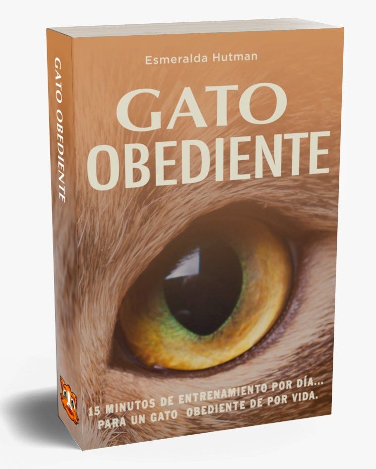 libro gato obediente funciona, trucos fáciles para gatos - Lenguaje de ...