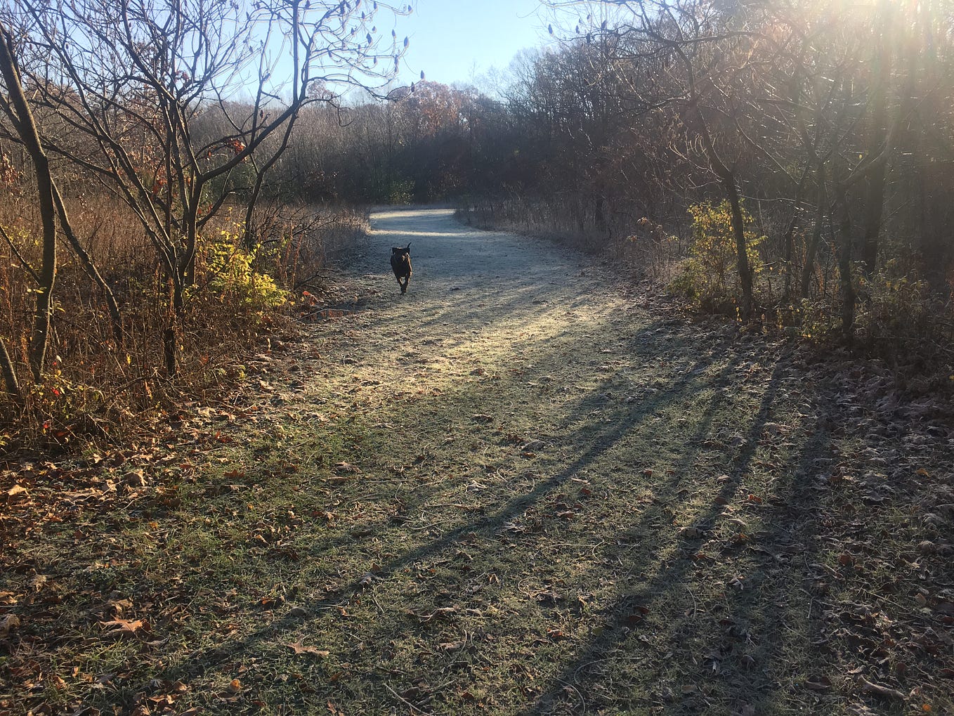 Thank you, Pablo. - Lisa Thorne - Medium