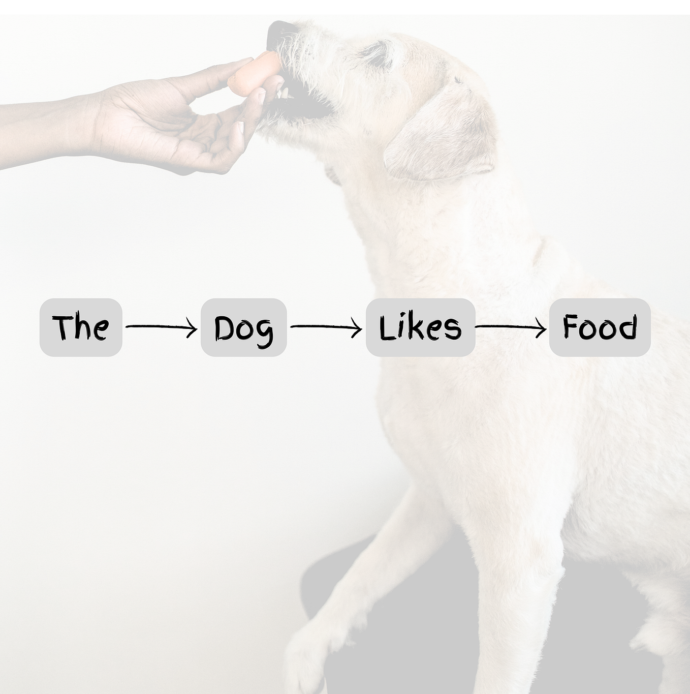 CausalLM Part 2: Fine-Tuning a Model | by Theo Lebryk | Towards Data Science