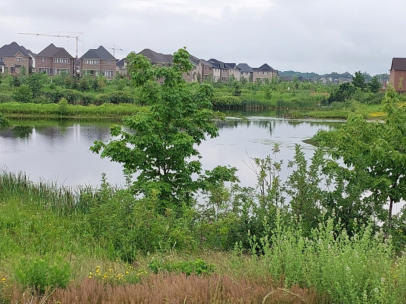 Designing Cities for Everyone: The Intersection of Eco-Friendly and ...