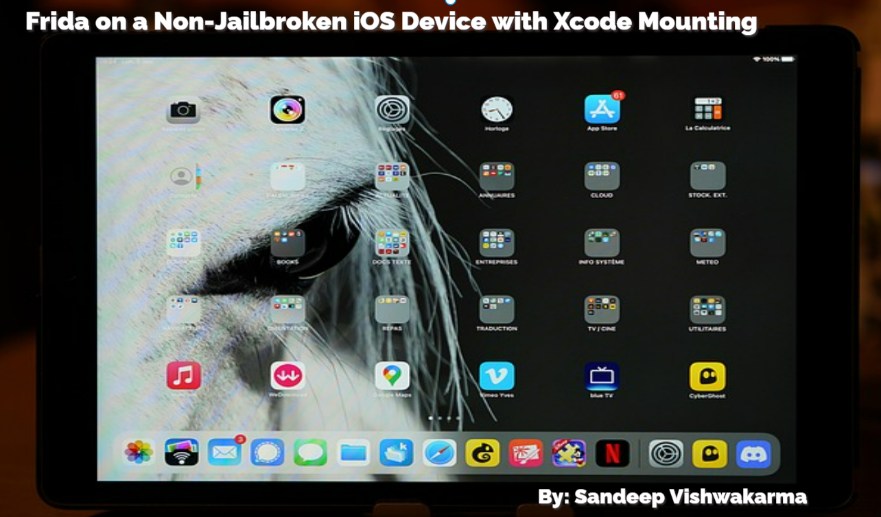 Manually Installing and Configuring Frida on Jailbroken iOS Devices: A Step-by-Step Guide | by ...