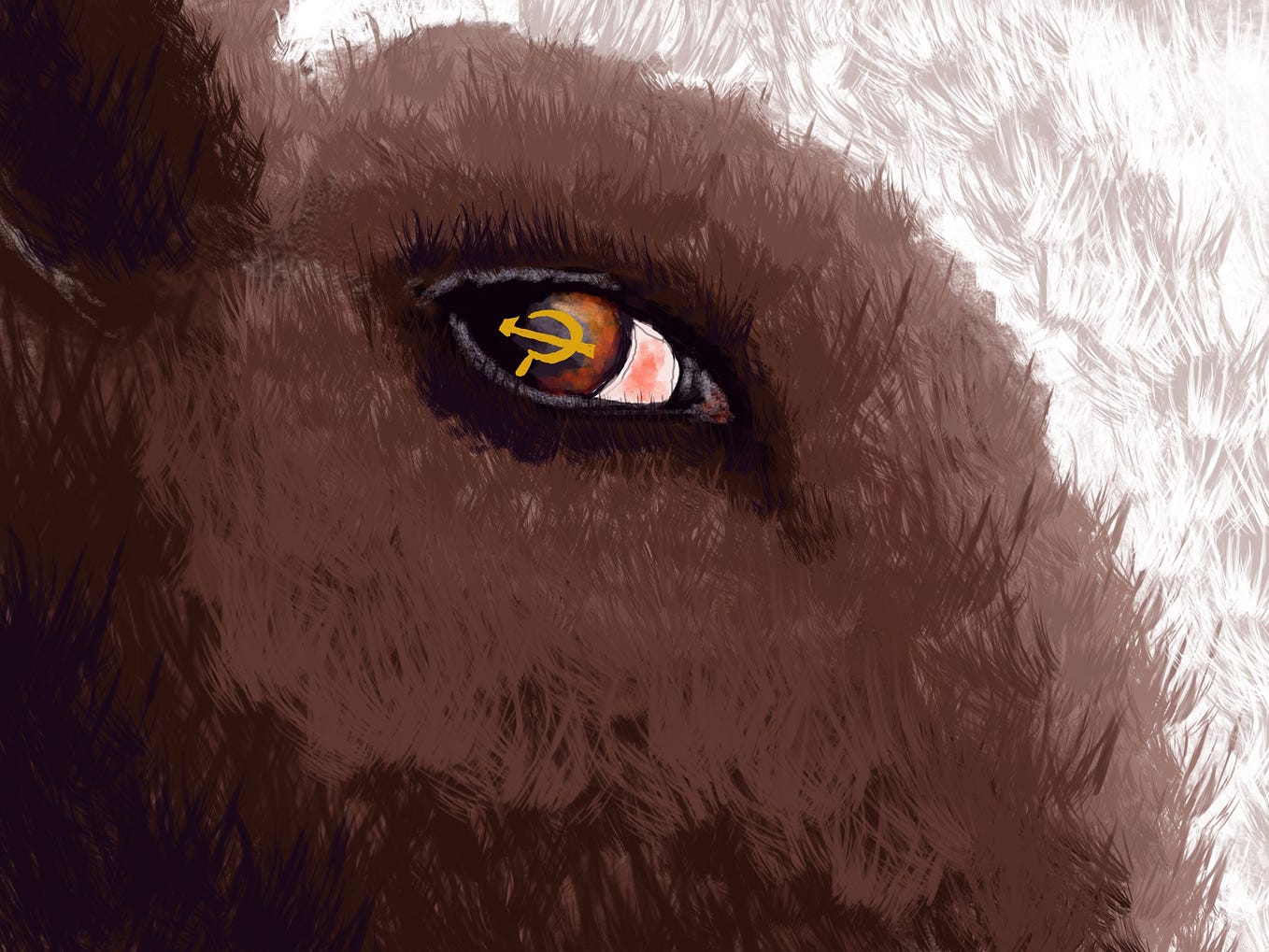 Is Go (Golang) the Future of Backend? | by Lilli-Marlene Groeneveld ...