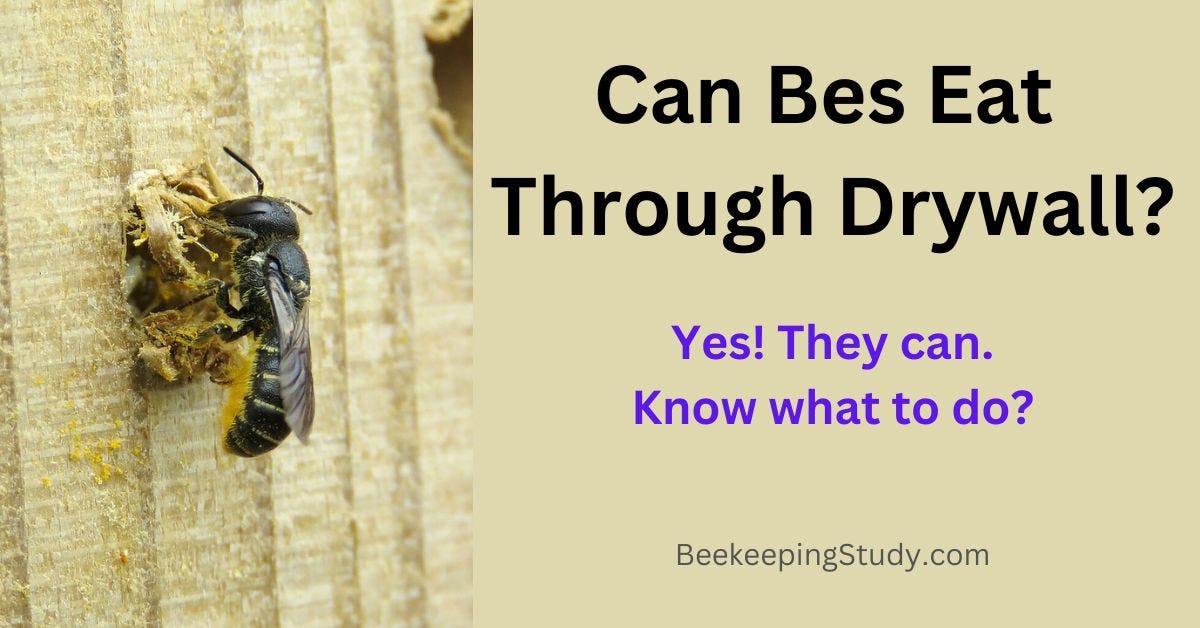 Unveiling the Mysteries of Bees: Do They Really Eat Wood? | by Maliha ...