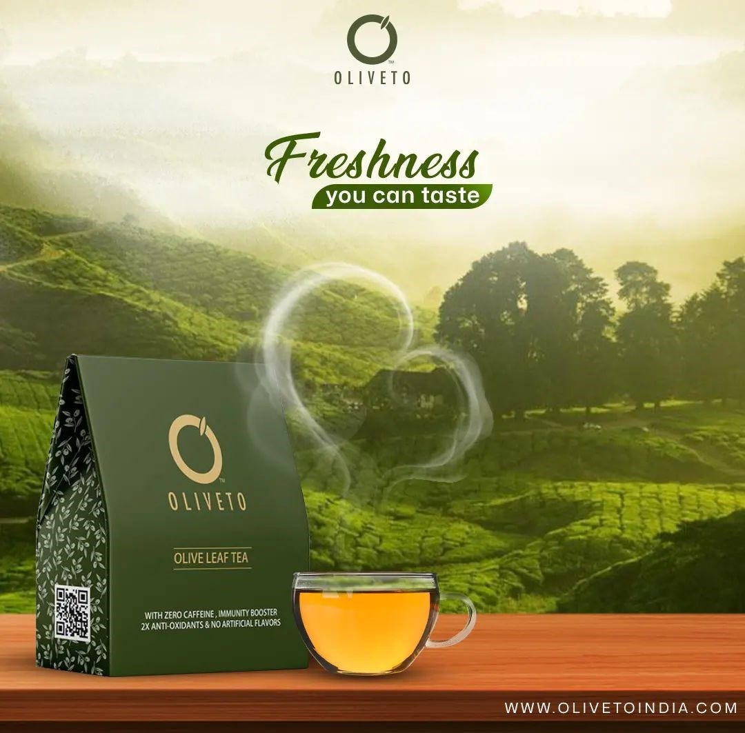 Olive Tea: An Ancient Elixir for Longevity - oliveto team - Medium