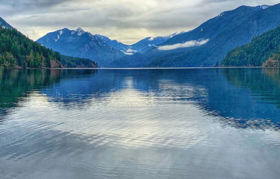 The Power of Surrender. This is a story about surrender. | by Tim ...