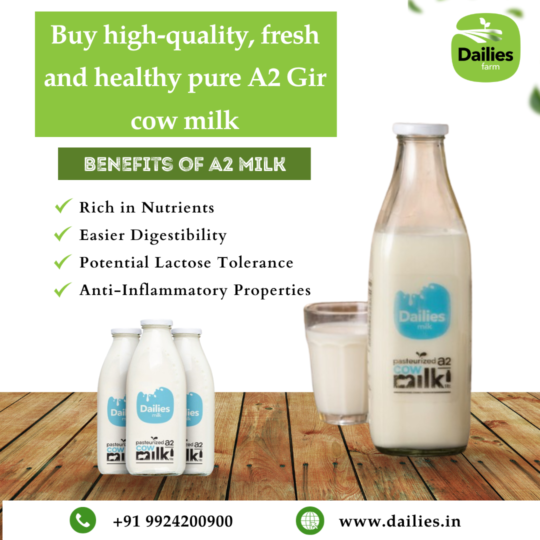 Elevate Your Health with the Best A2 Gir Cow Milk Available - Dailies dairy - Medium