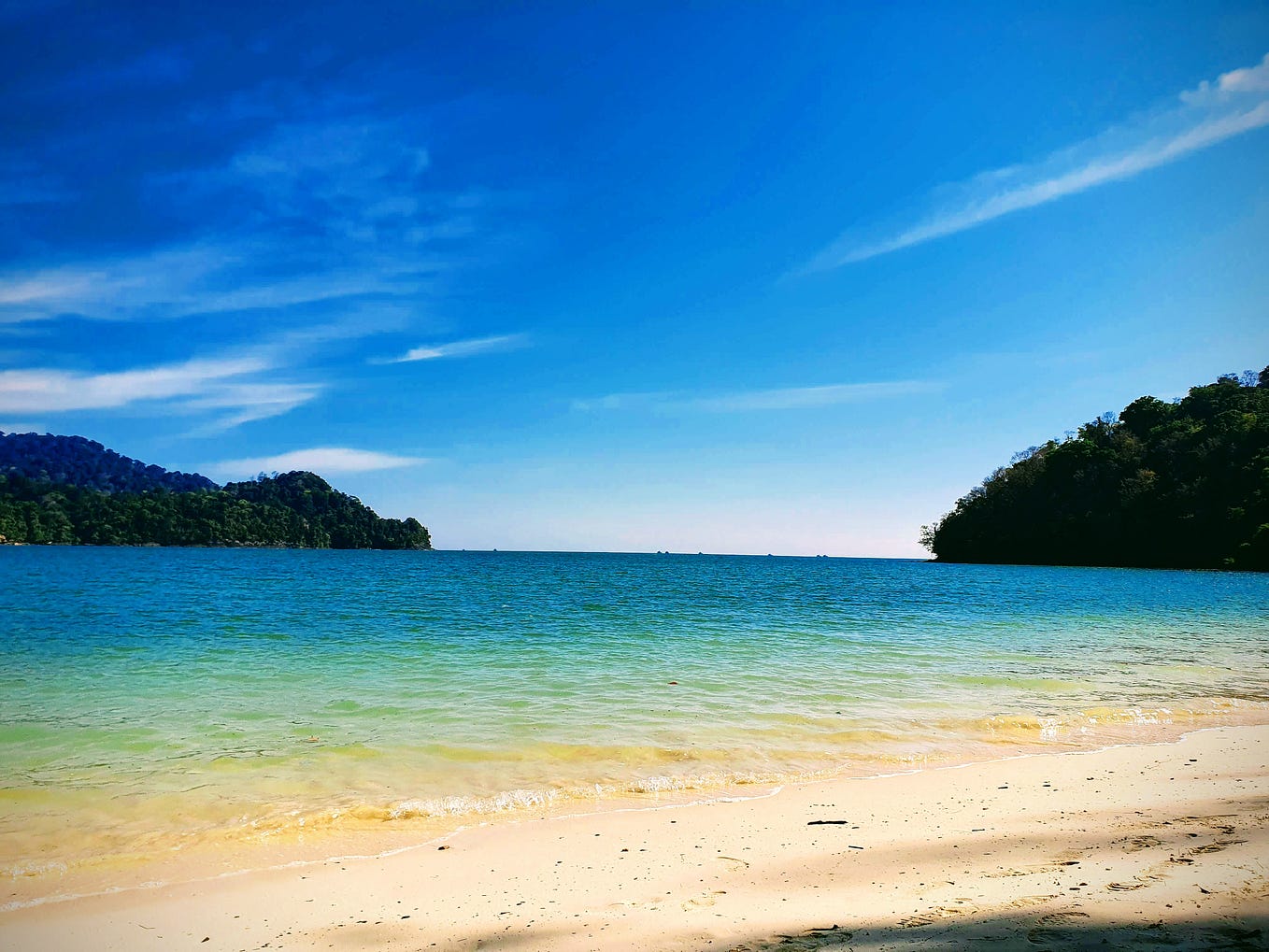 Android-Kotlin: Simple example of Recyclerview + databinding | by ...