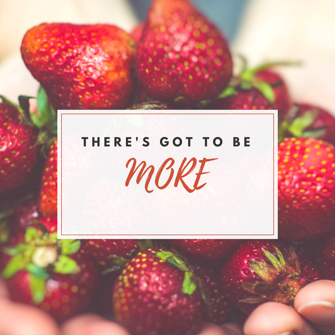 Finding Beauty in Chaos. My favorite band has been Switchfoot… | by ...