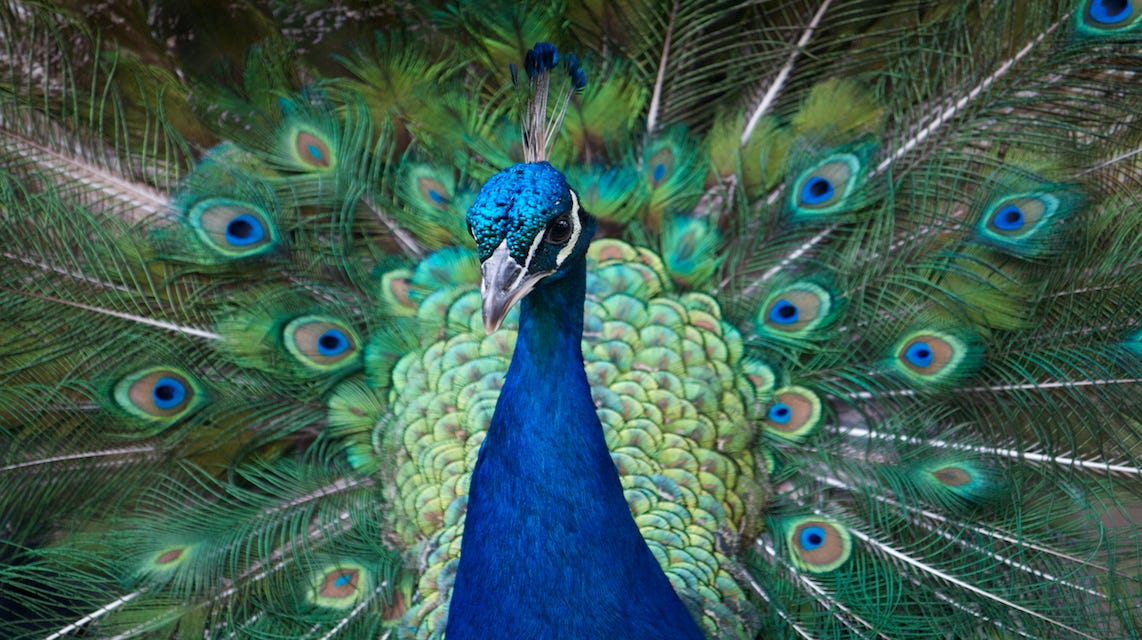 Understanding the NAT Working Principle in Linux Systems | by ByteCook | Jun, 2024 | DevOps.dev