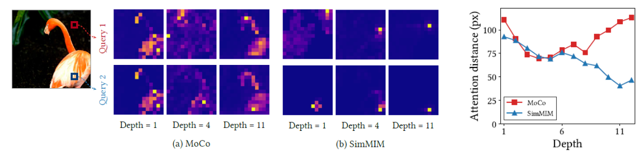 Masked Autoencoders Are Scalable Vision Learners | by Souvik Mandal ...