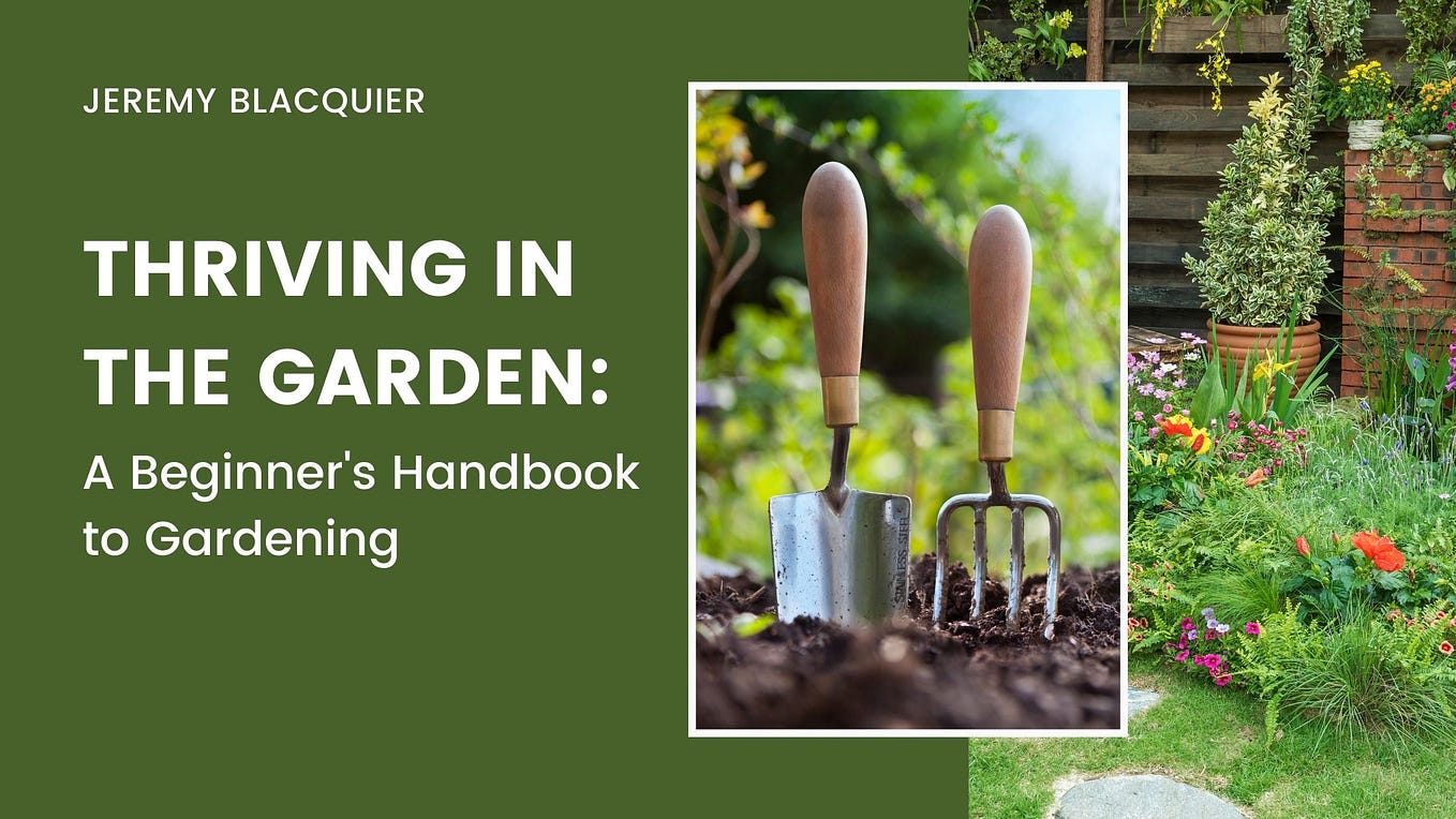 A delightful read. - Jeremy Blacquier - Medium