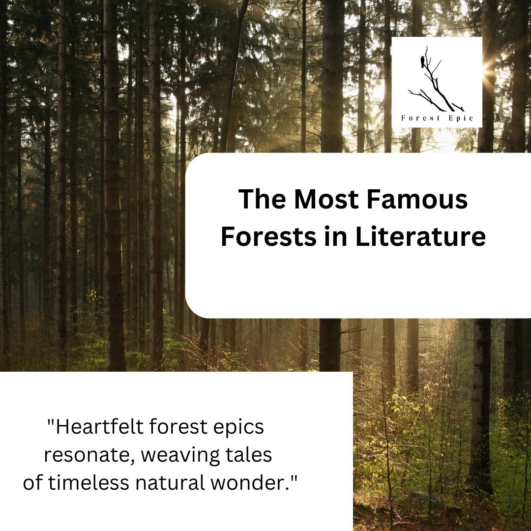 Top 5 forests to visit before they disappear - William S. - Medium