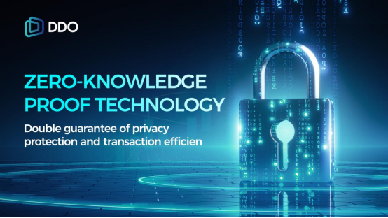 DDO Chain: Zero-Knowledge Proof Technology for Privacy Protection and ...