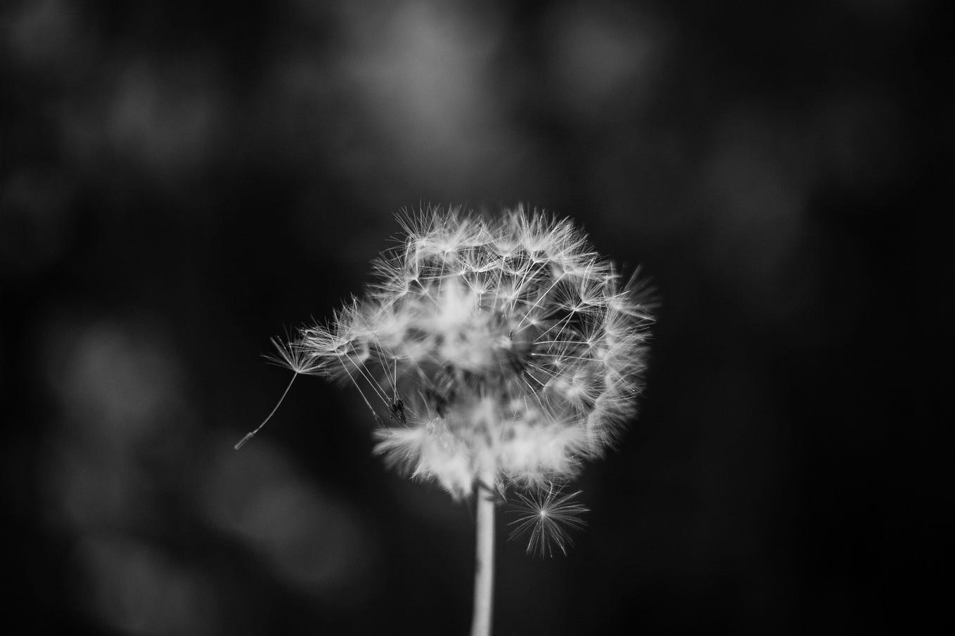 The Tale of Two Arrows. A Buddhist tale and what we can learn… | by ...