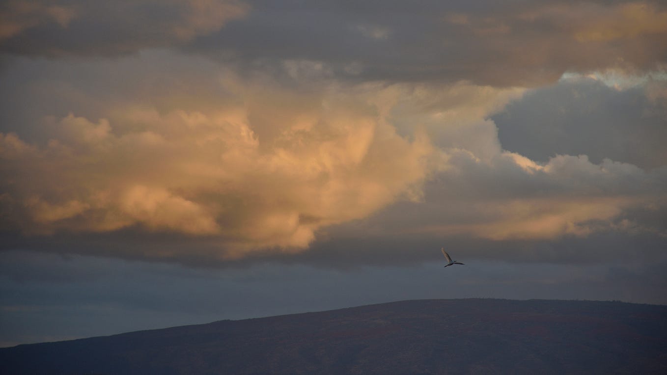 Microservice Design Patterns | Embedded Services | by Mario Mesaglio | Medium