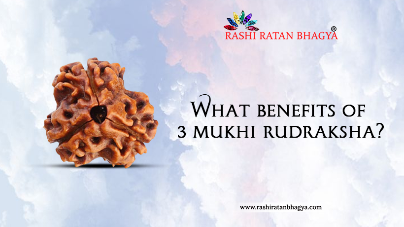 Exploring the Benefits of 5 mukhi Rudraksha | by Rashiratanbhagyaseo | Medium