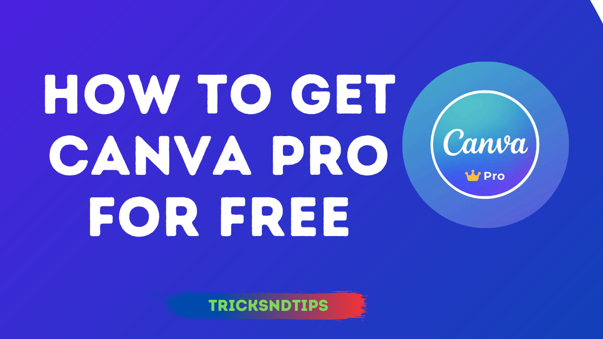 Canva Pro Team Invite Link for Free 2024 | by Digital products | Medium