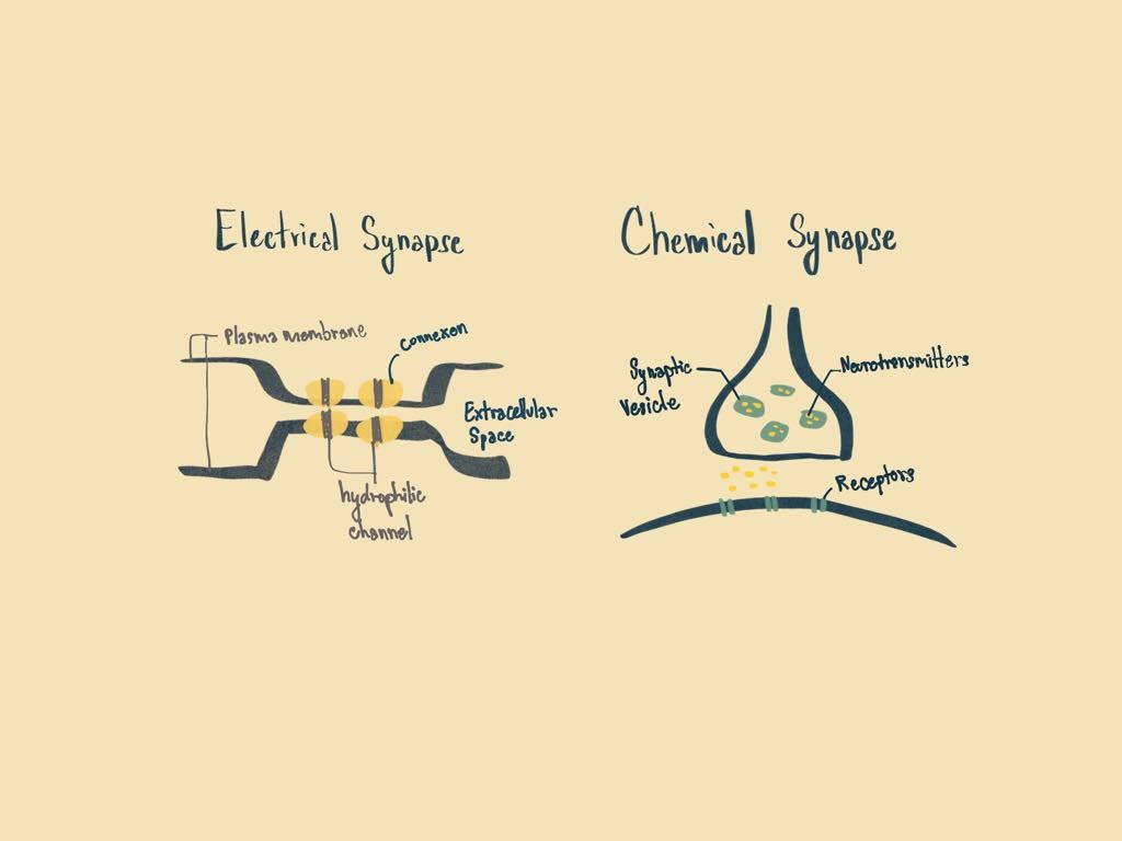 Image Filters with Python and OpenCV | by Nattadet C. | Nattadet C ...
