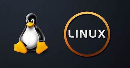 #90DaysOfDevops Challenge. Advanced Linux Shell Scripting for… | by Aaditya Ranadive | Oct, 2024 ...