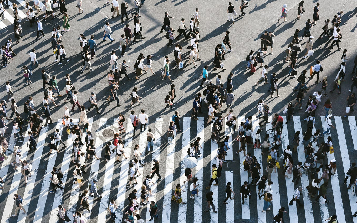 Designing the Public Sector Capabilities Index — testing our approach ...