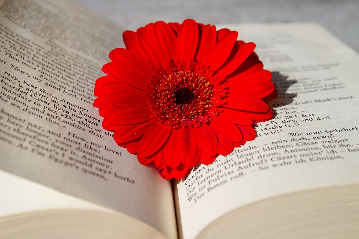 10 Key Life Lessons from The Yamas & Niyamas by Deborah Adele | by Roz ...