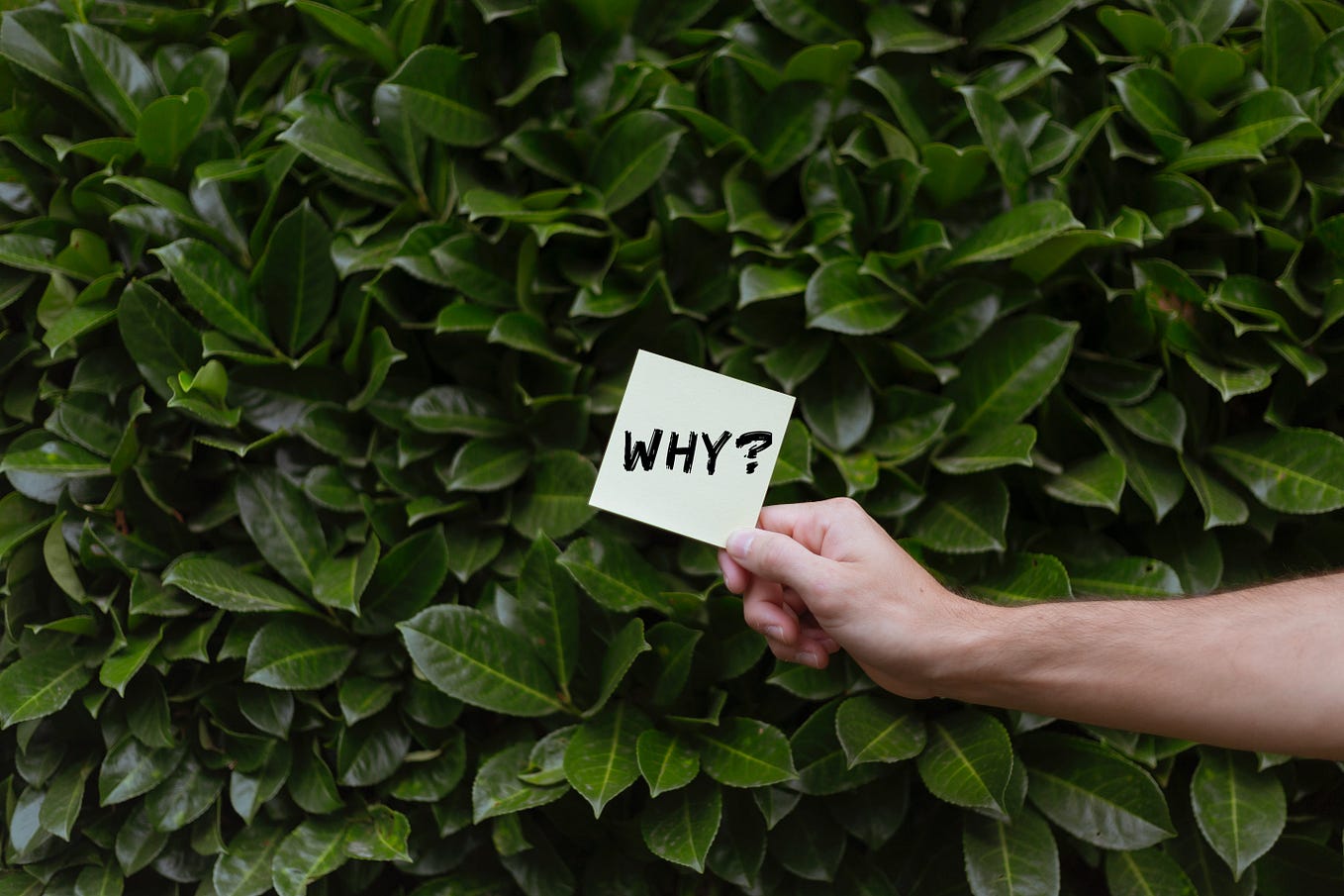 A Guide to Navigating the Amazon Product Manager Technical (PMT) MBA ...