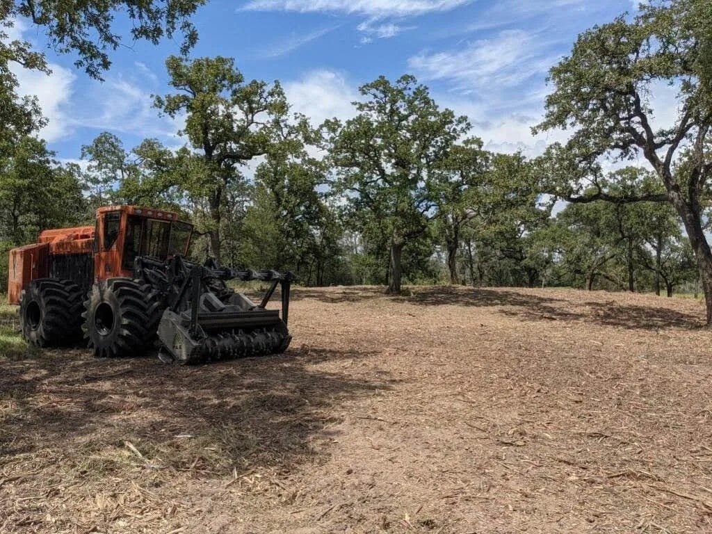 WHAT IS UNDERBRUSH CLEARING? A COMPREHENSIVE GUIDE | by Pierce Land ...