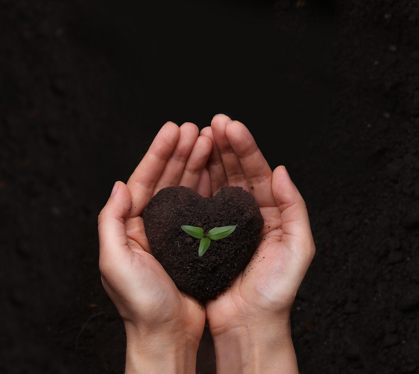 Thank you Robin! - Pamela Edwards - Medium