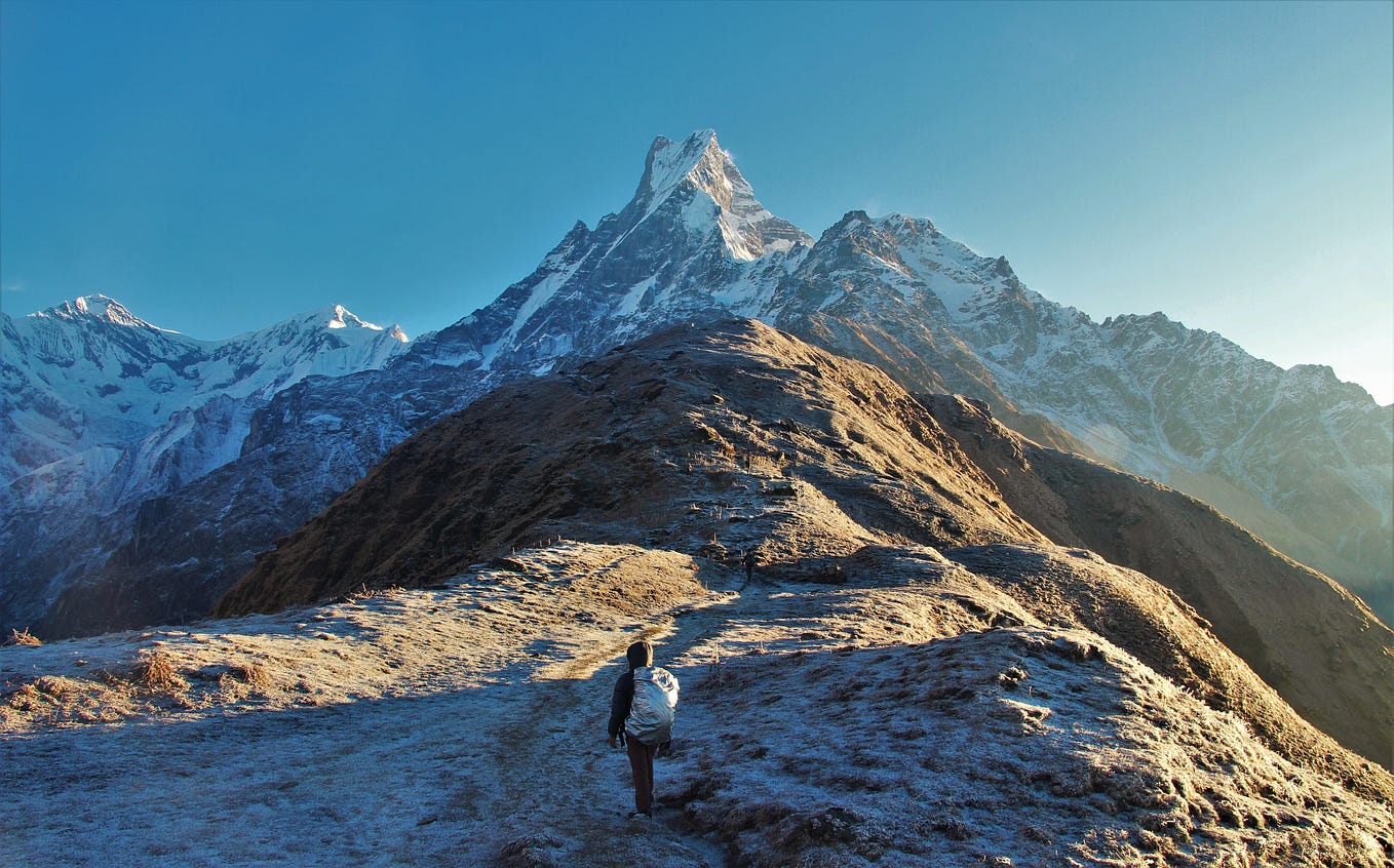 Healing Trauma Through a Holistic Lifestyle: A Path to Wholeness | by ...