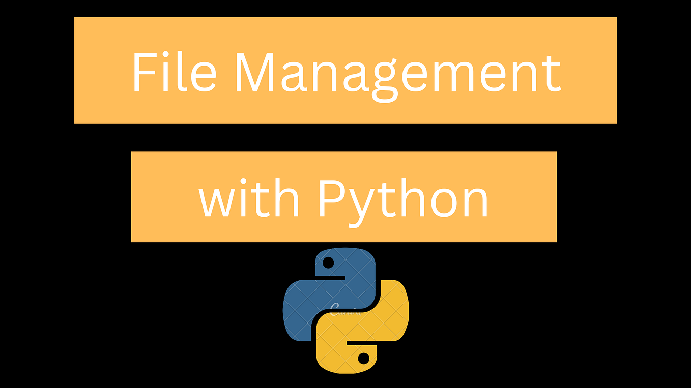 Python API Interaction Guide | by Kafilat Adeleke | Medium