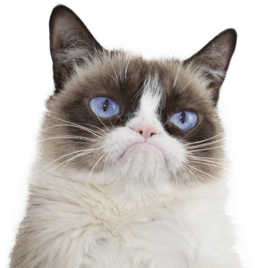 Grumpy Was Never Theirs: The Battle for Meme Culture | by $Gcat ...