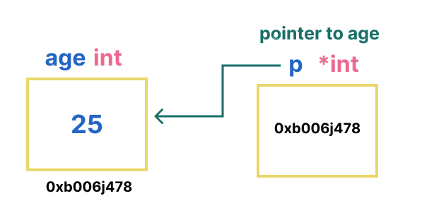 Reading User Input with Go. Why are there so many options?? | by ...