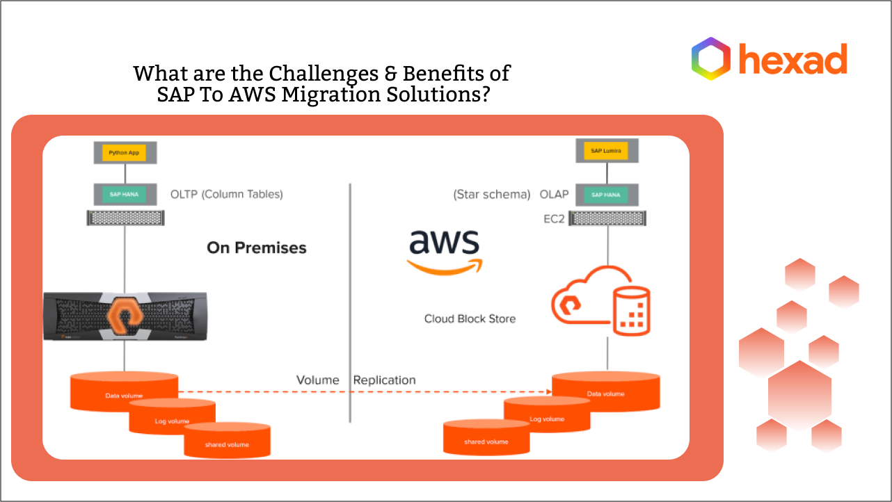 What programming languages are used at Amazon Website? | by Hexad- Software Development Company ...