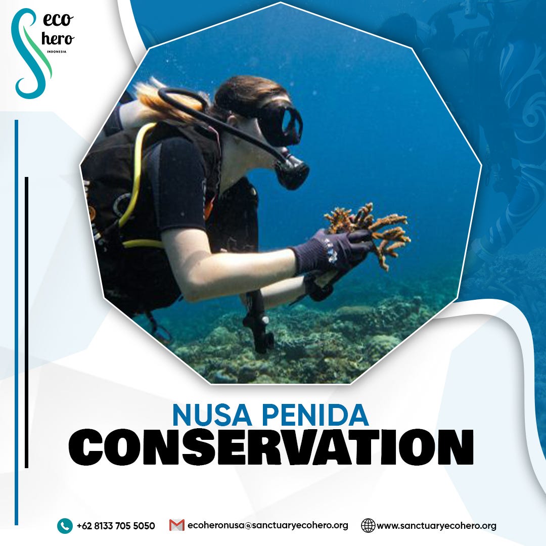 Ocean Conservation Indonesia - Eco Hero Nusa - Medium