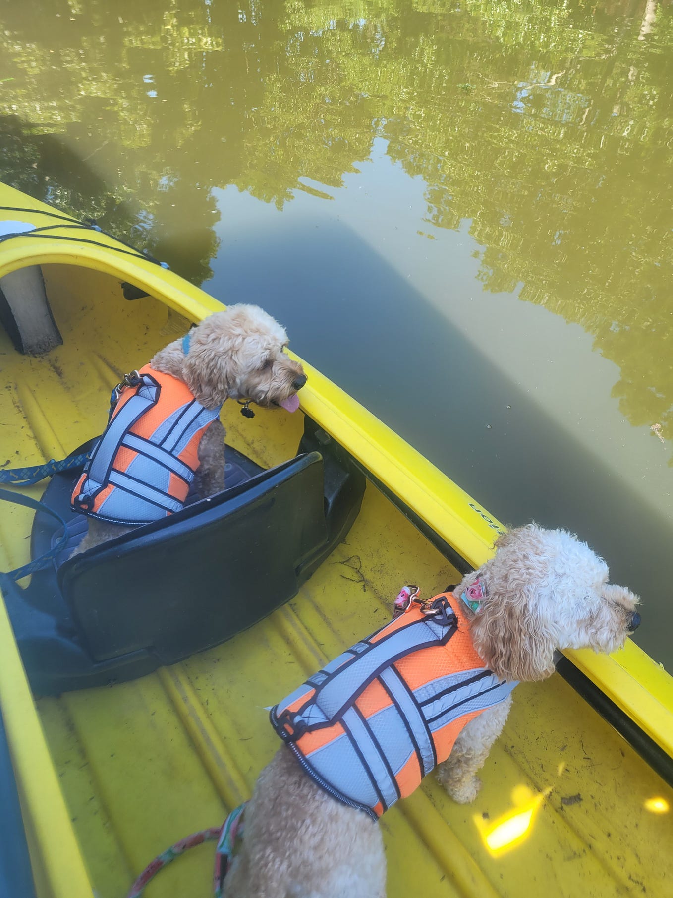 Kit Tanthalos: The Brave, The Loved, and the Not-A-Princess | by ...