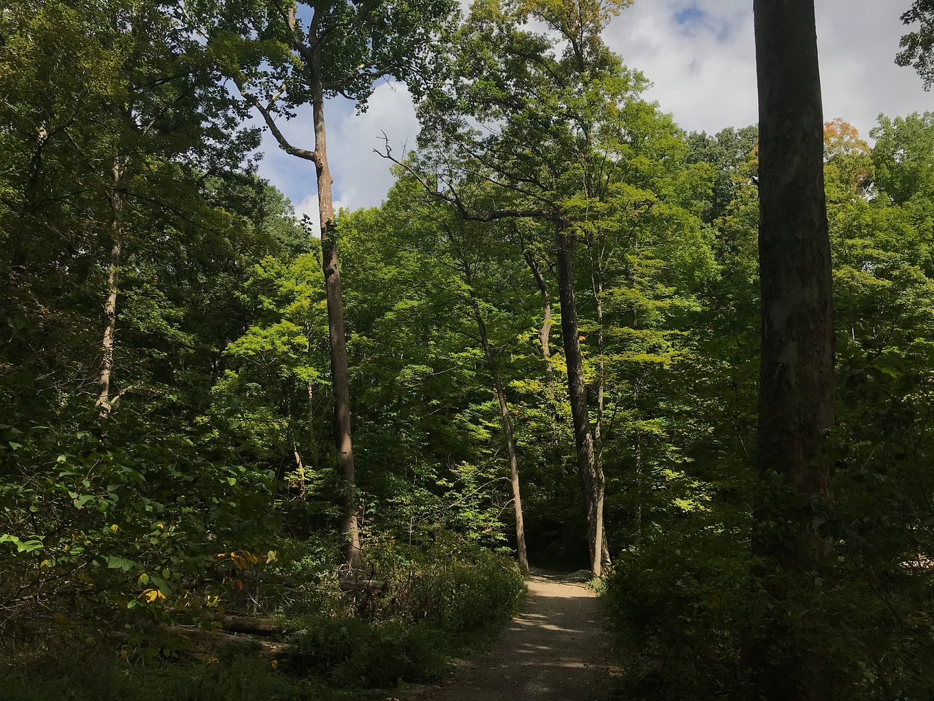 Mapping Stakeholder Relations. Carnegie Mellon, Transition Design… | by ...