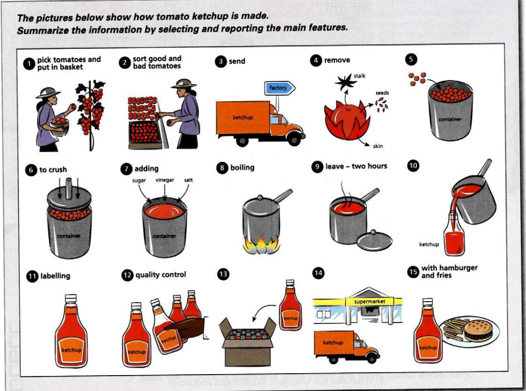 IELTS Writing Task 1: Process of Olive Oil Production | by Alfonsus Ganendra | Medium