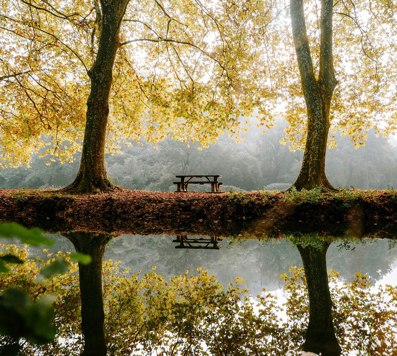 ‘Altered Traits’: The Goals of Meditation and Some of Its Risks | by ...