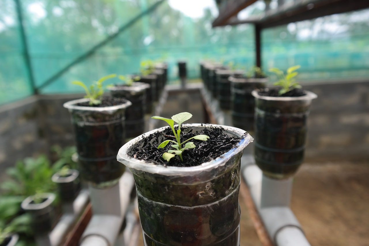 A Look at 4 Successful Urban Farms | by Mark Crumpacker | Medium