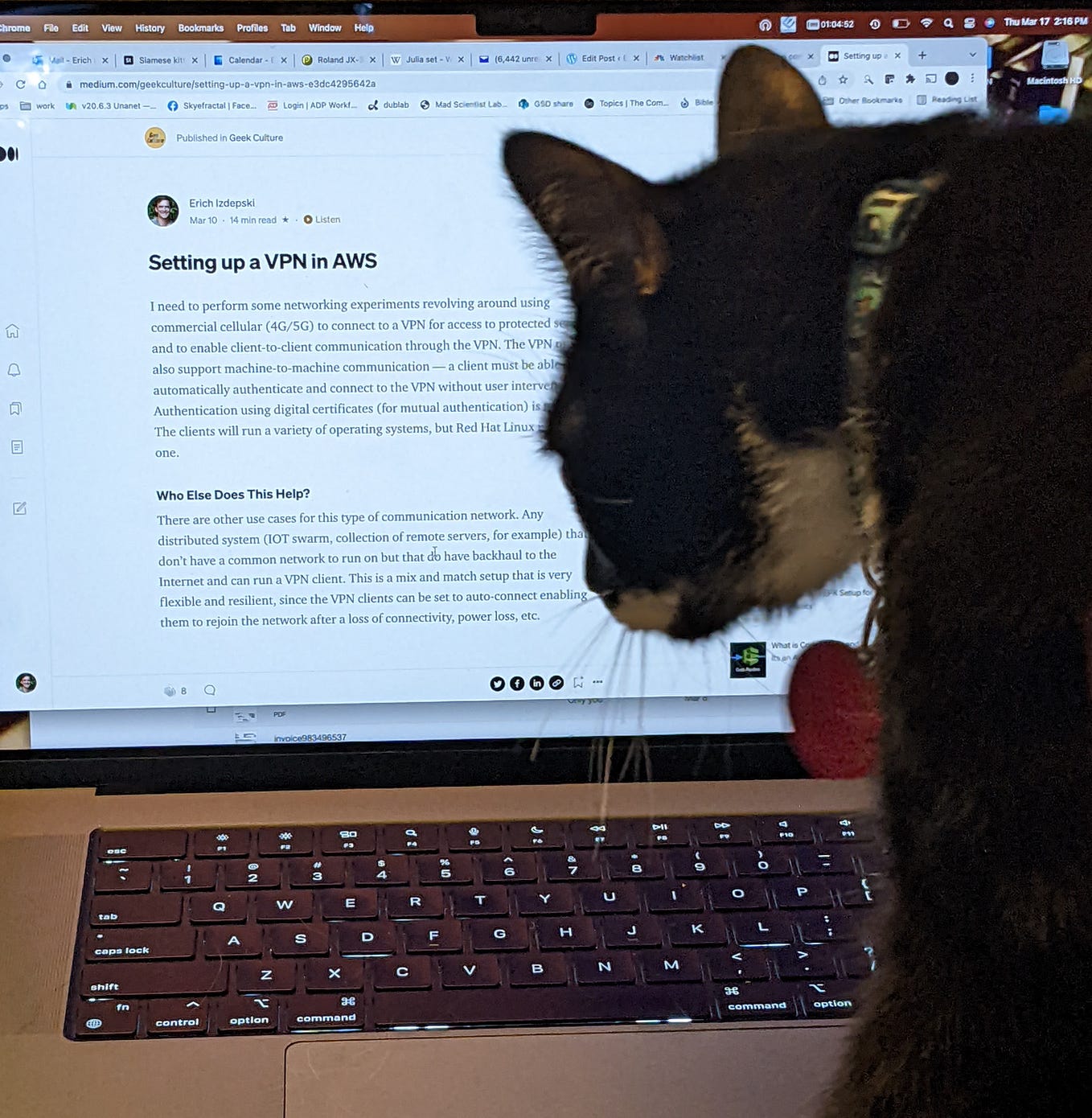 FFMPEG with NVidia Hardware Acceleration | by Erich Izdepski | Geek Culture | Medium
