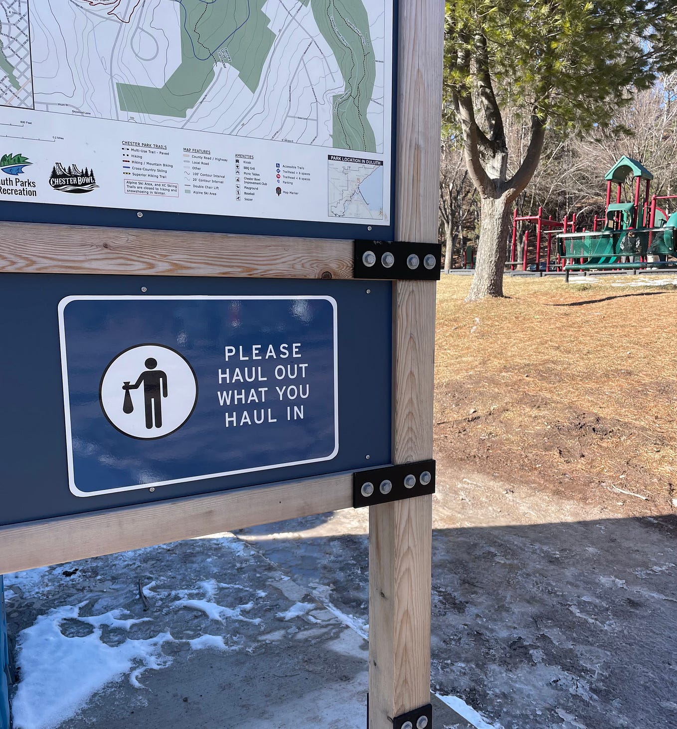 Local Artist, Jackie Eckhoff, Tells Her Story - Finlee Matejcek - Medium